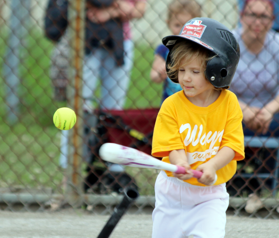 The Wayne Dispatch » Let’s play ball